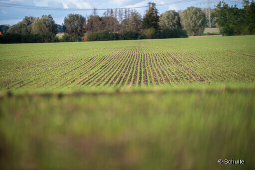 Ein Landwirt, der Nähe schafft » YOUPAX