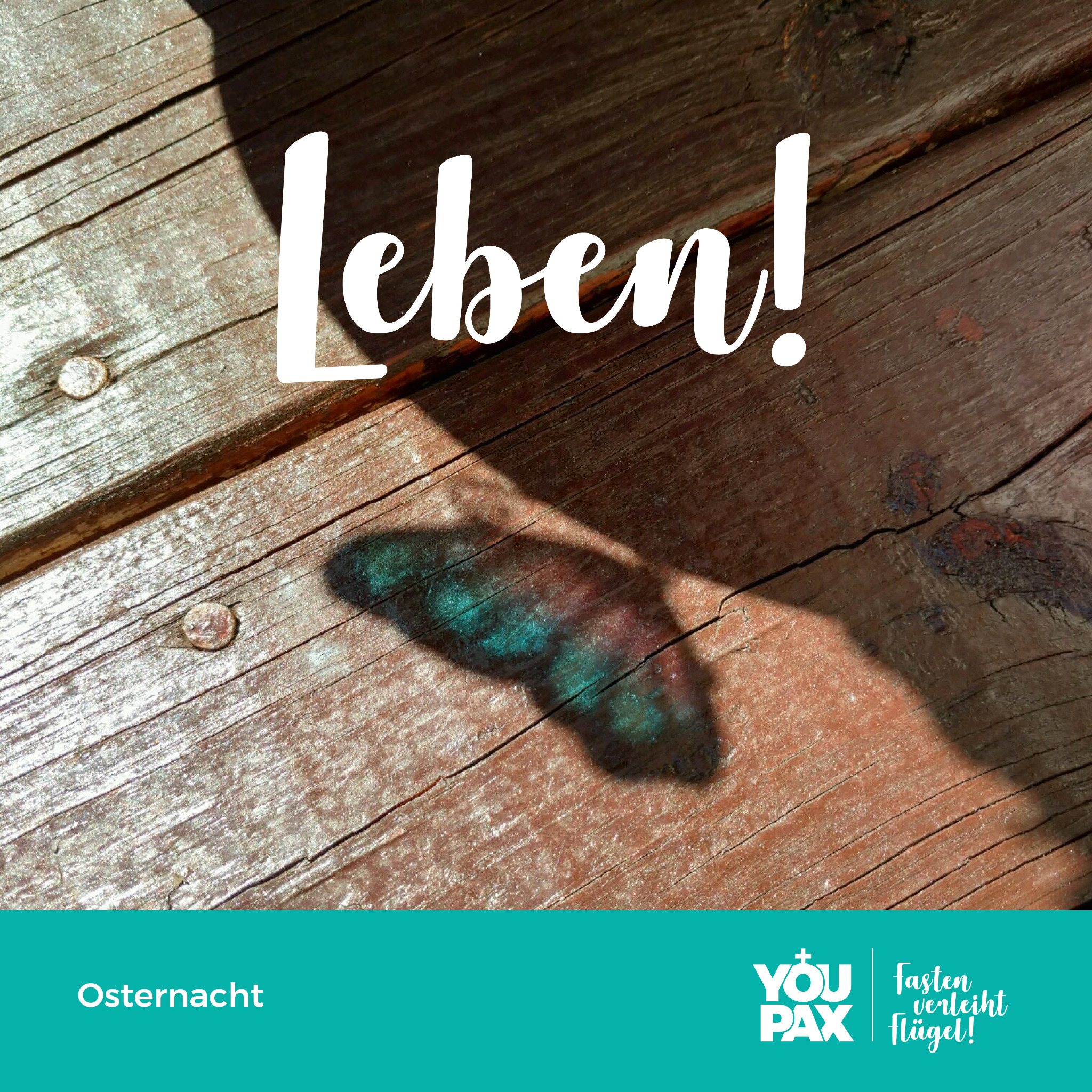 Leben! » YOUPAX